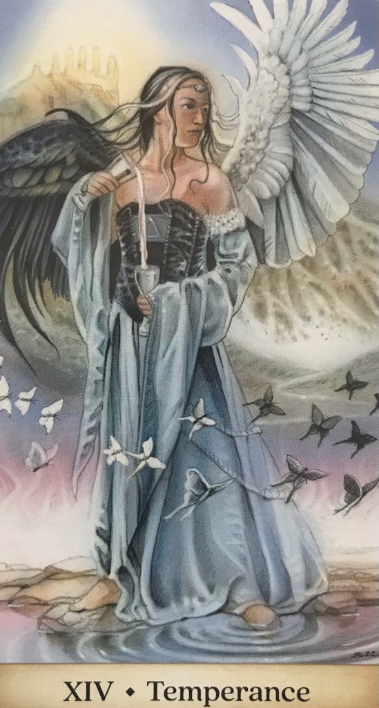 Card of the Day – Temperance – Sunday, May 10, 2026 – Tarot by Cecelia