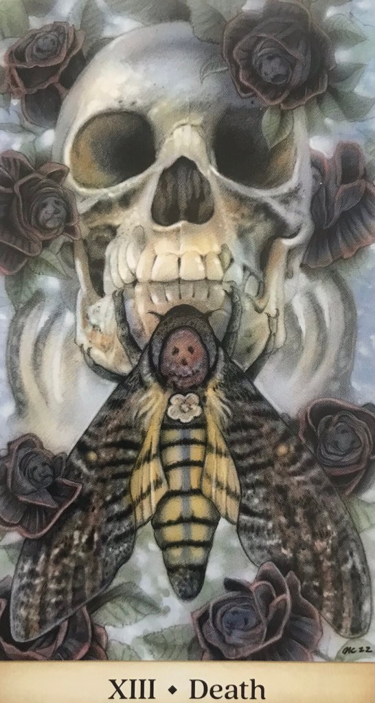 Card of the Day – Death – Thursday, June 4, 2026 – Tarot by Cecelia